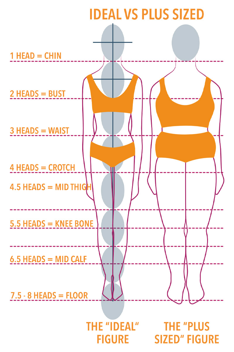 Understanding Body Proportions - The Creative Curator